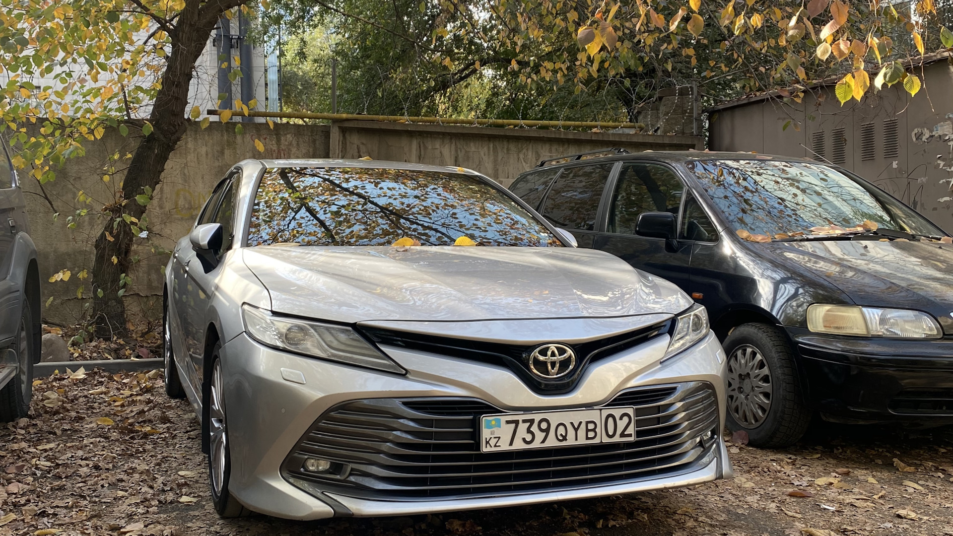 Toyota Camry (XV70) 2.5 бензиновый 2018 | Camry 70 на DRIVE2