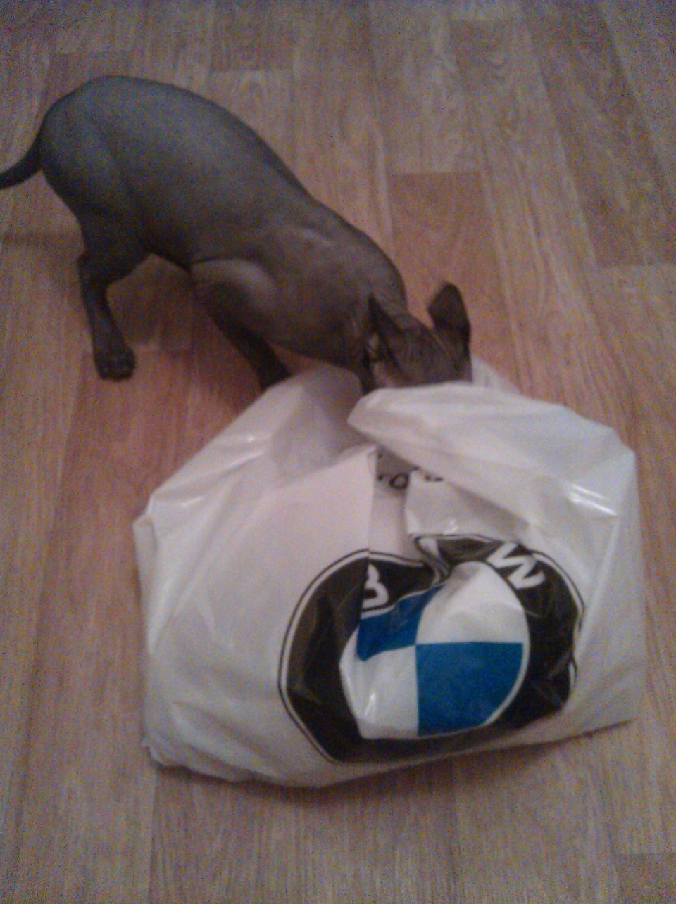 Ещё запчасти! Ура! или Скоро едем к Дяде Грише! — BMW 5 series Touring ...