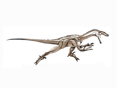 RAPTOR:) — Renault 5 (2G), 1,8 л, 1988 года | другое | DRIVE2