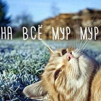 Правый Шрус — DRIVE2