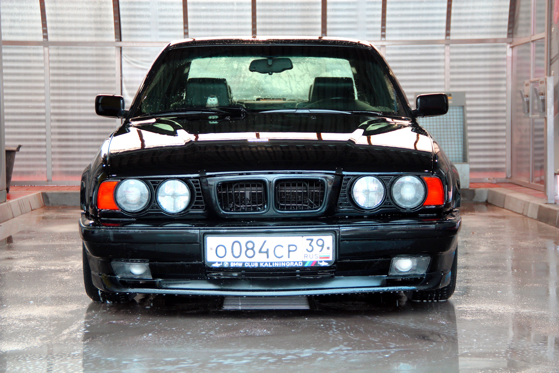 пару свежих фоточек вам ребзи) — BMW 5 series (E34), 2,5 л, 1993 года | фотография | DRIVE2