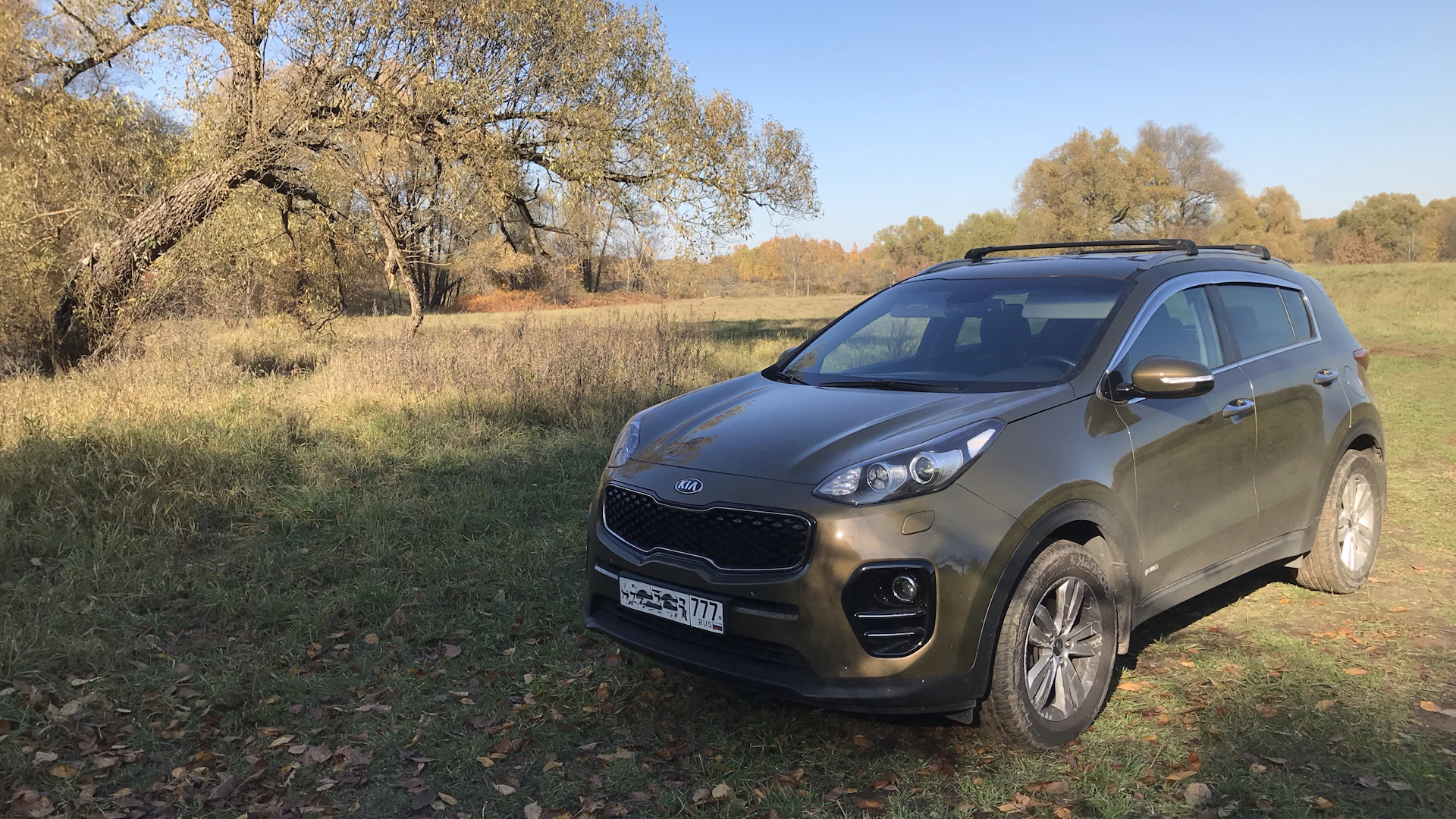 KIA Sportage (4G) 2.0 бензиновый 2016 | 4WD на DRIVE2