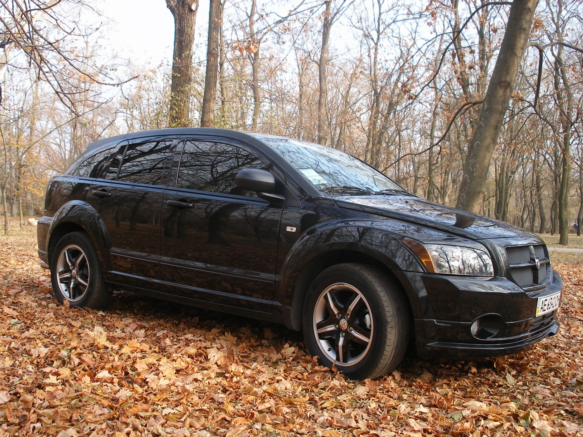 Не большой, не профессиональный осенний фото-сет "Calibra". — Dodge Caliber, 1,8 л, 2008 года ...