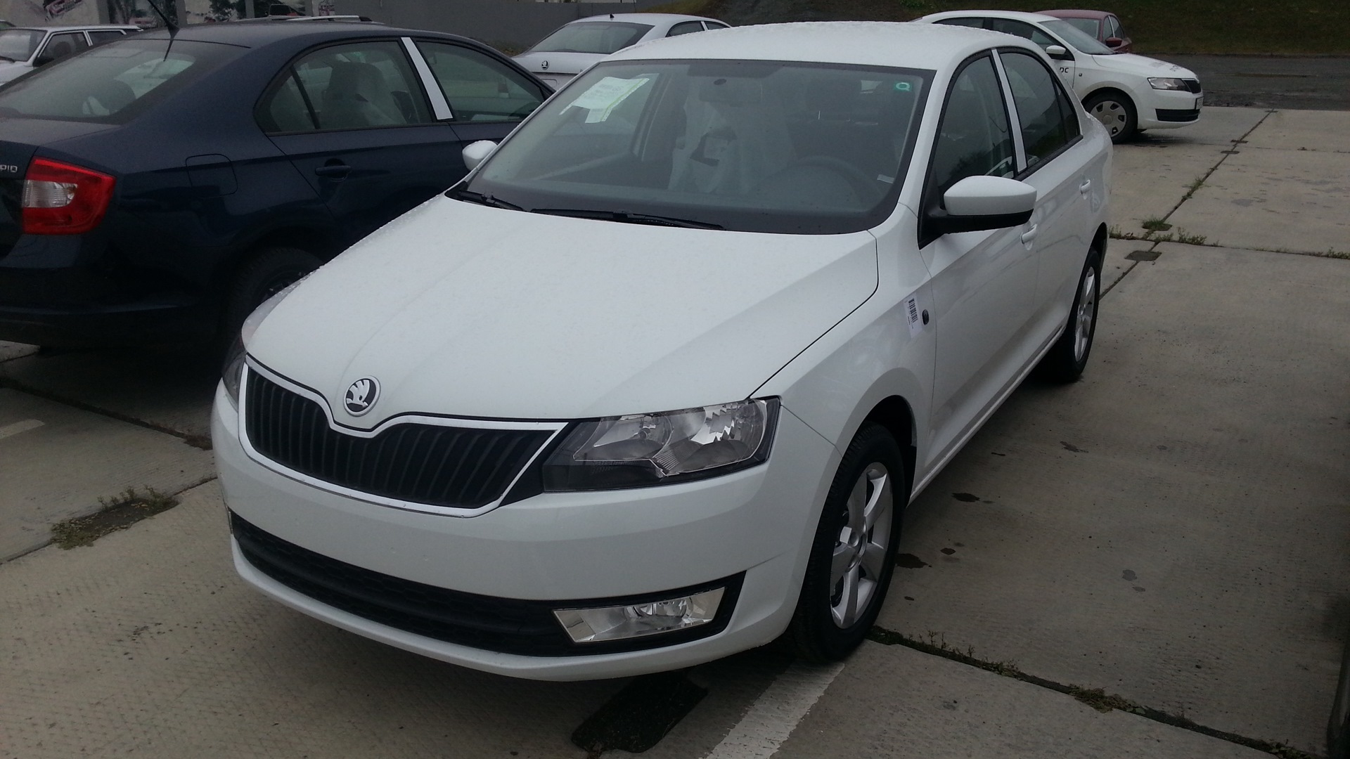 Skoda Rapid (1G) 1.4 бензиновый 2014 | 1.4TSI Elegance+WR7+PL2 на DRIVE2