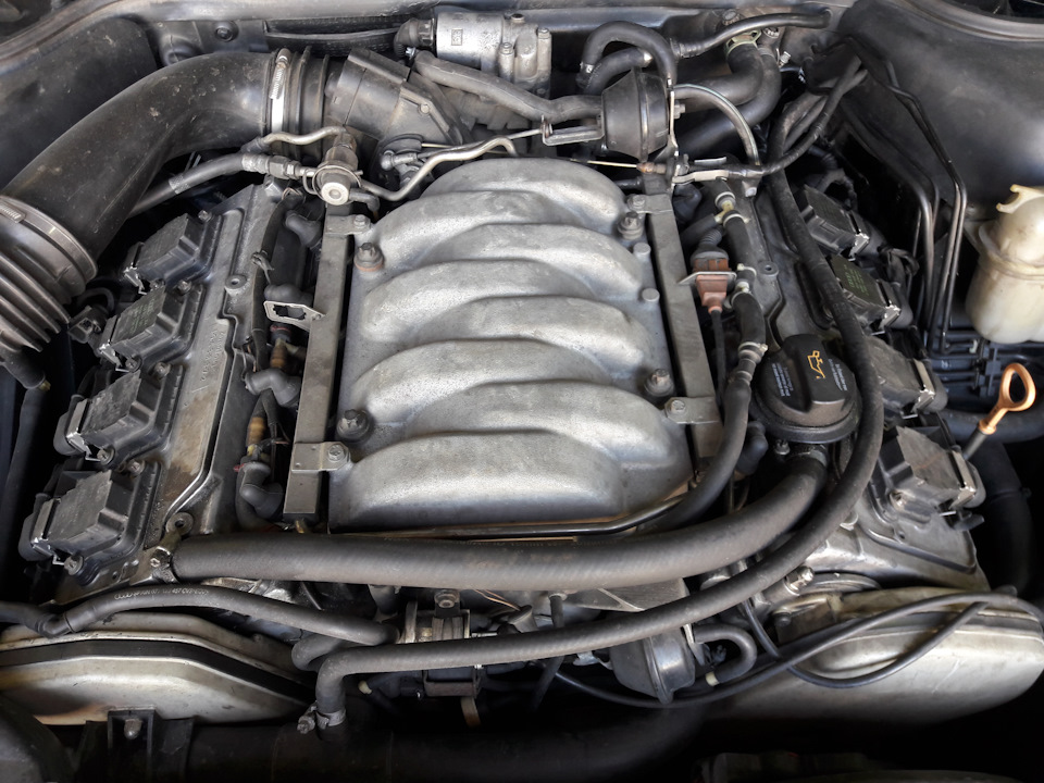 Сразу все за долгое время) — Audi S8 (D2), 4,2 л, 1998 года | своими ...