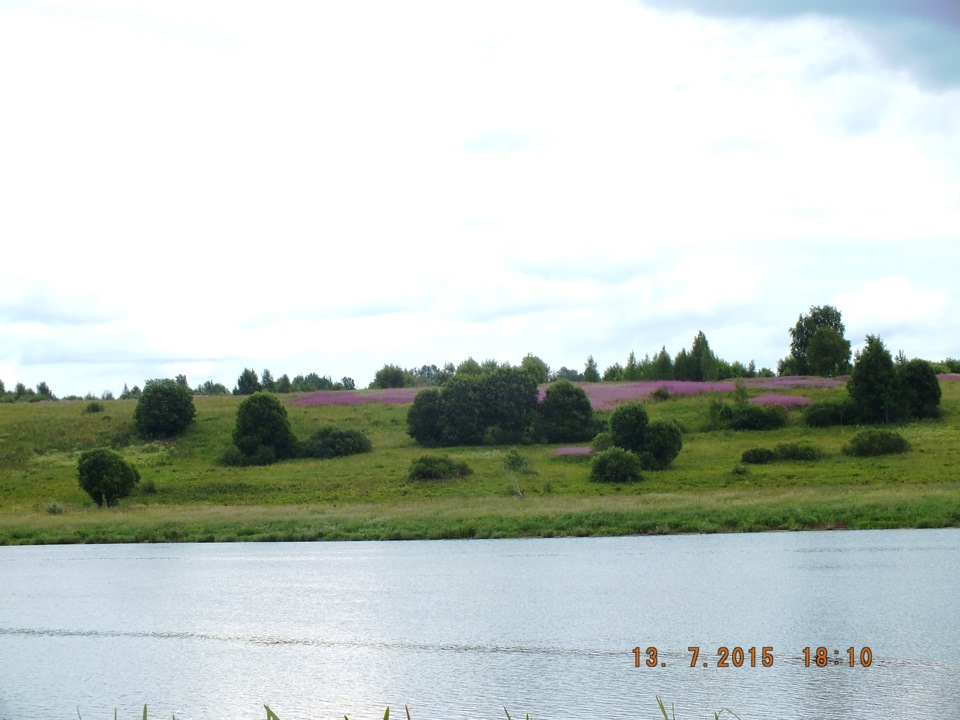 1372015 Ремень ГРМ Z142x230 / Duratec 2.5 Ford | Запчасти на DRIVE2