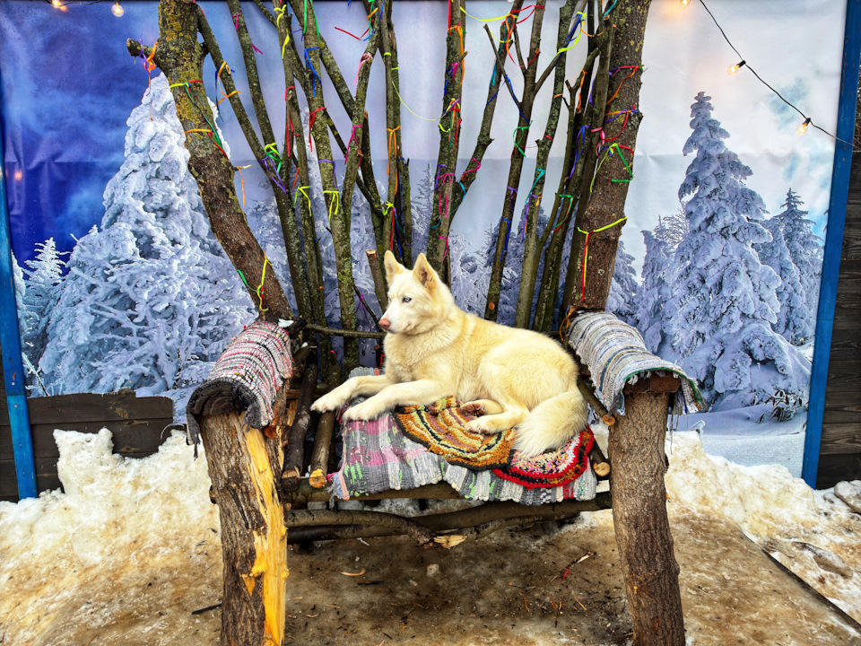 Даем угла на хот-догах вместо хот-хетчей 😶 — Haval Jolion, 1,5 л, 2021 года | покатушки | DRIVE2