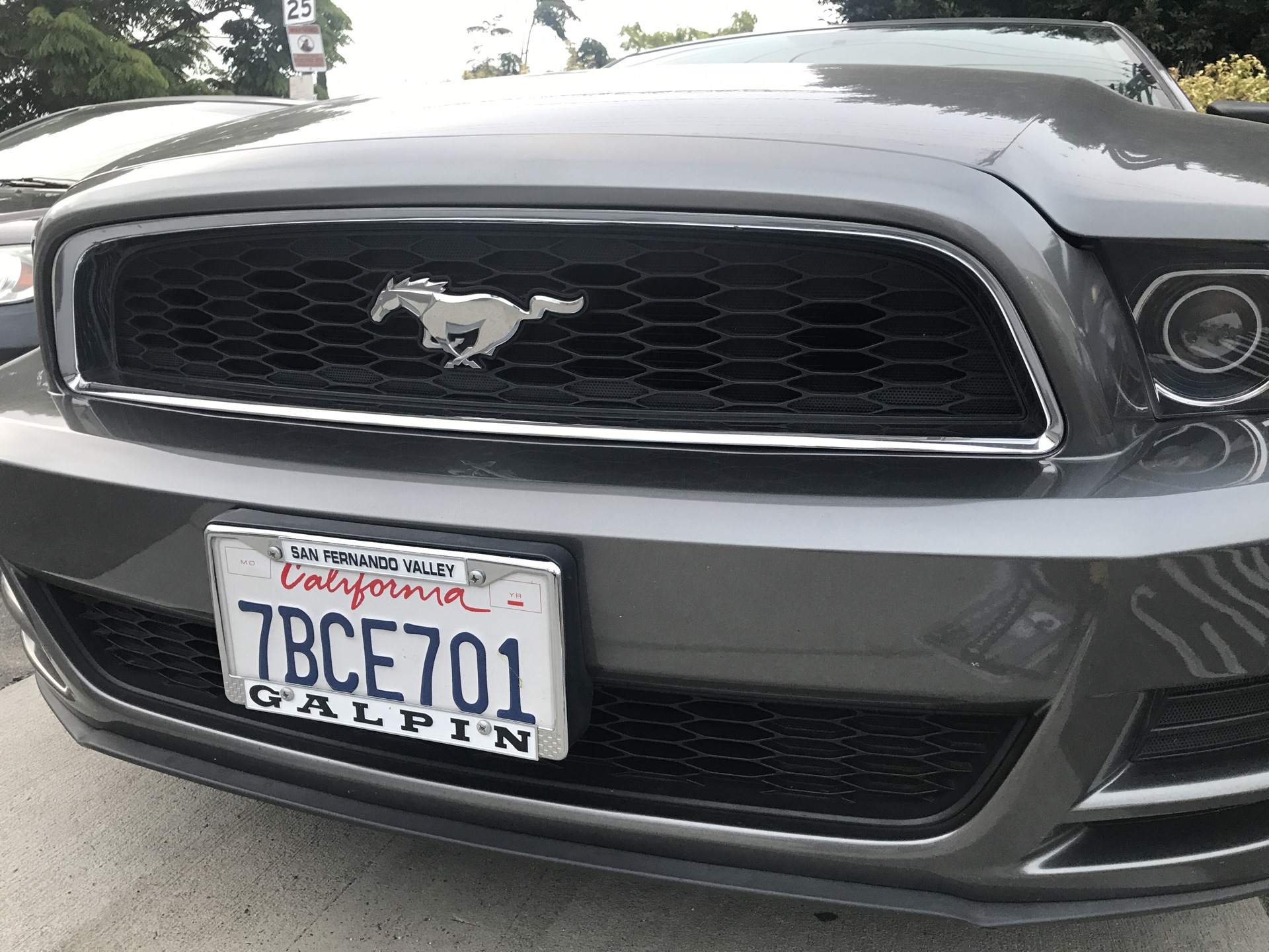 Ford Mustang License Plate Frame — Ford Mustang (5G), 3,7 л, 2014 года ...