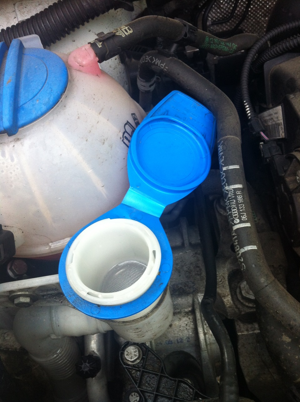 Крышка горловины омывайки и лампочки. — Skoda Octavia Scout A5 Mk2, 1,8 ...