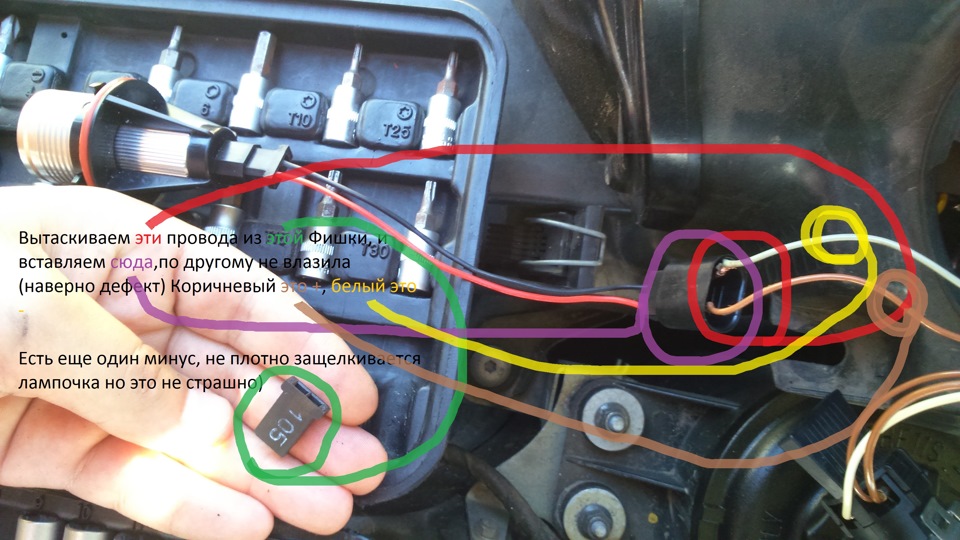 Покупка+установка лампочек ангельских глазок — BMW 5 series (E60), 3 л ...