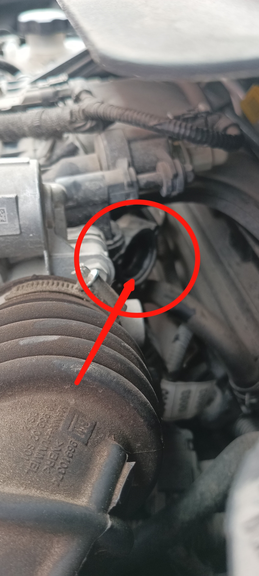 Запись #10 (Что там должно быть?) — Chevrolet Spark (M300), 1,3 л, 2021 ...