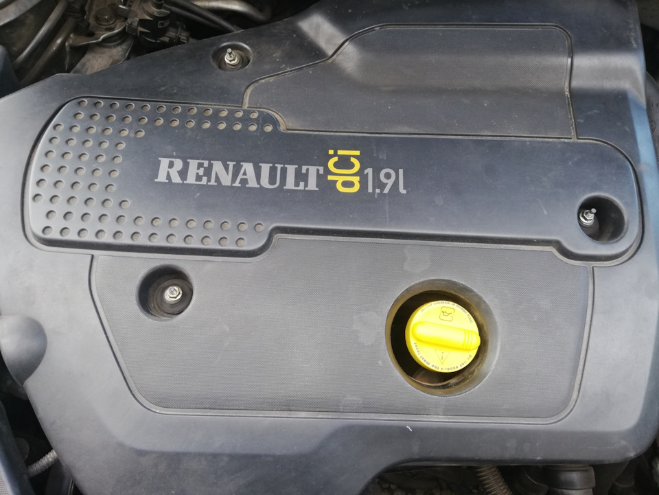 Масленый щуп 1.9dci — Renault Laguna II, 1,9 л, 2001 года | просто так ...