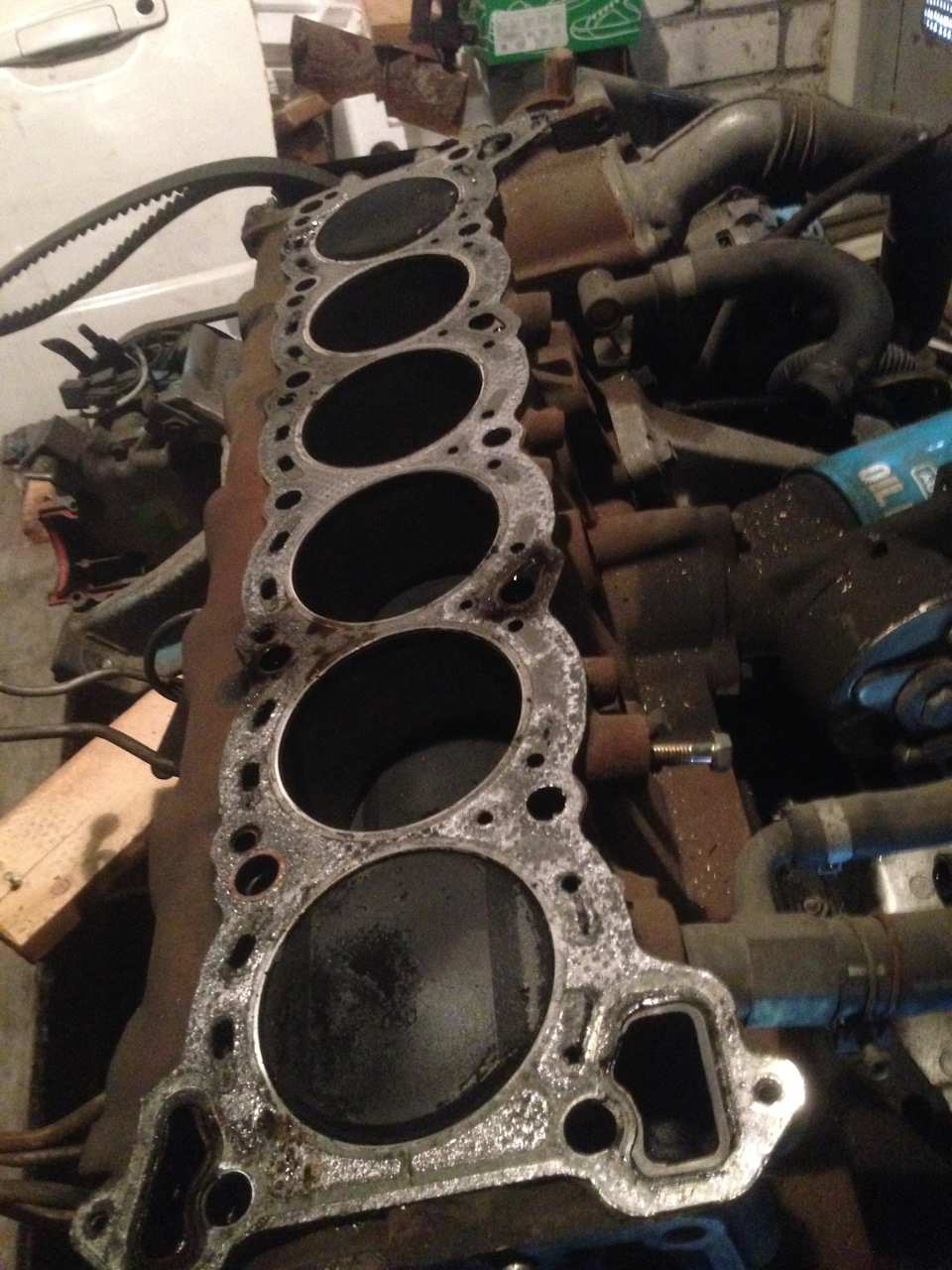 Ослик, Суслик, Паукан, на-на-на, на-на — Ford Focus Hatchback II, 2 л ...