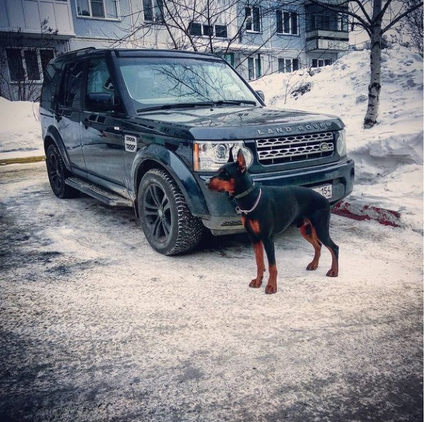 С возвращением в семью! — Land Rover Discovery IV, 3 л, 2010 года ...