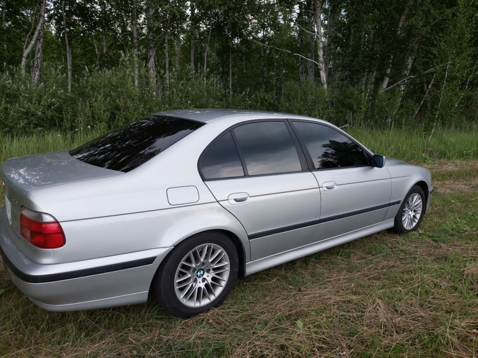 Как 309 цвет стал 354. — BMW 5 series (E39), 2 л, 1997 года | кузовной ремонт | DRIVE2