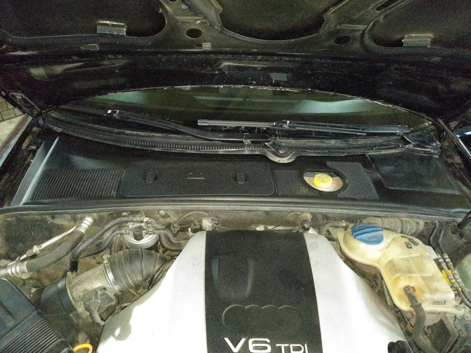 Приводим в порядок подкапотное пространство, , , — Audi A4 (B7), 2,5 л, 2006 года | аксессуары ...