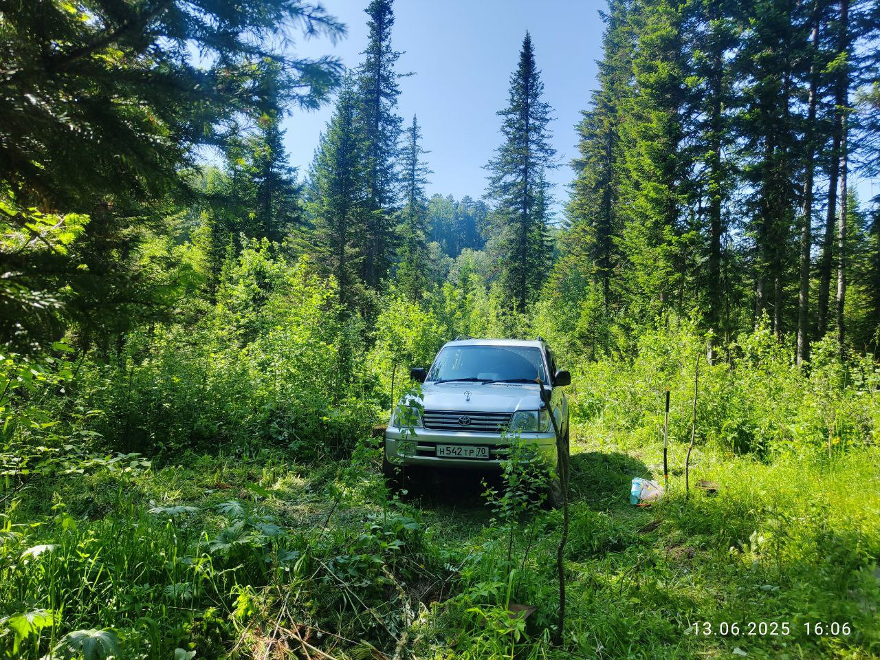 3.15.1 Начало промывки. Эксперимент. 5vz-fe Prado 95 … — Toyota Land Cruiser Prado 90-series, 3 ...