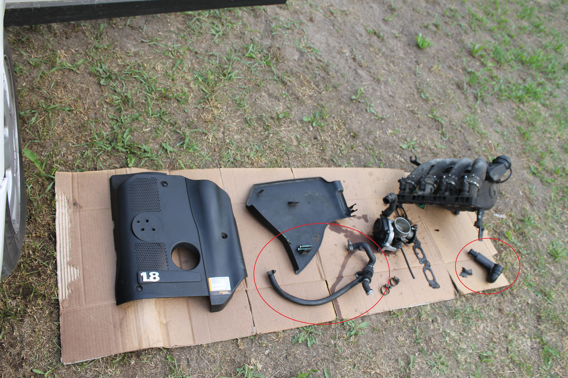 Чистка ВКГ — Volkswagen Passat B5, 1,8 л, 1998 года | своими руками ...