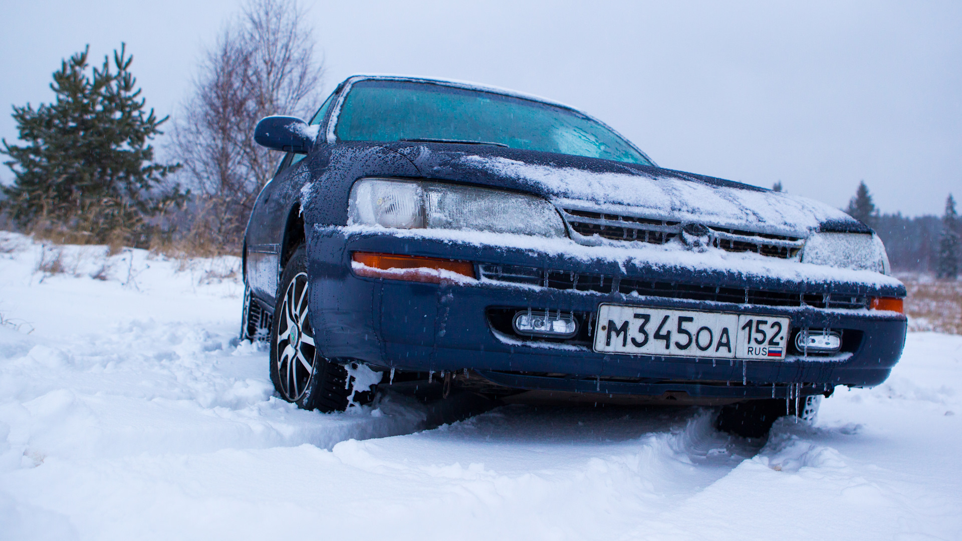 Toyota Corolla (100) 1.5 бензиновый 1994 | 5A-FE "Тюлень" на DRIVE2