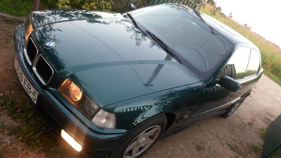 BMW 3 series Compact (E36/5) 1.6 бензиновый 1995 | Boston Green ...