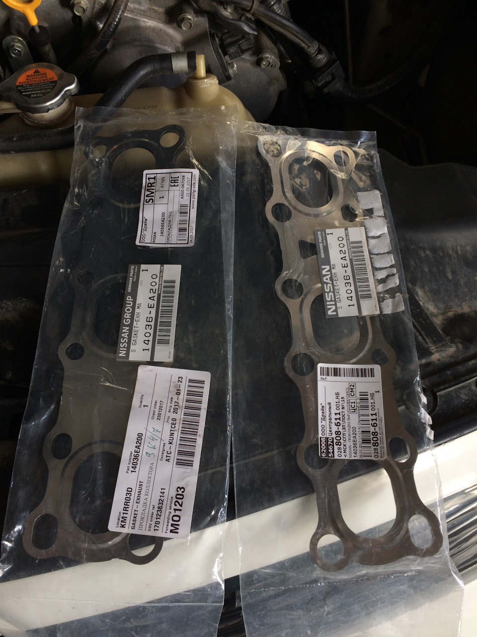 14036EA200 Прокладка выпускного коллектора NISSAN INFINITI | Запчасти ...
