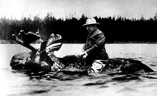 Сегодня дал новое официальное имя своей VOLVO — "MOOSETANG" ))) — Volvo ...