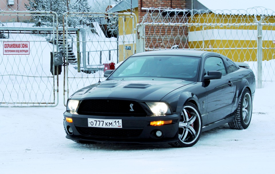 Небольшой зимний фотосет. — Ford Mustang (5G), 2008 года | фотография ...