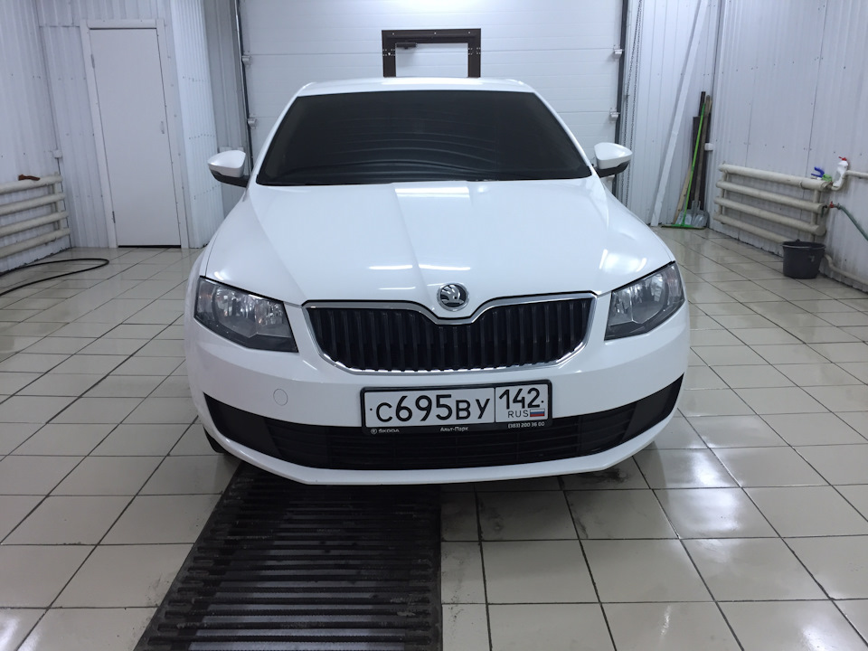 замена ламп ближнего — Skoda Octavia A7 Mk3, 1,6 л, 2014 года | другое ...