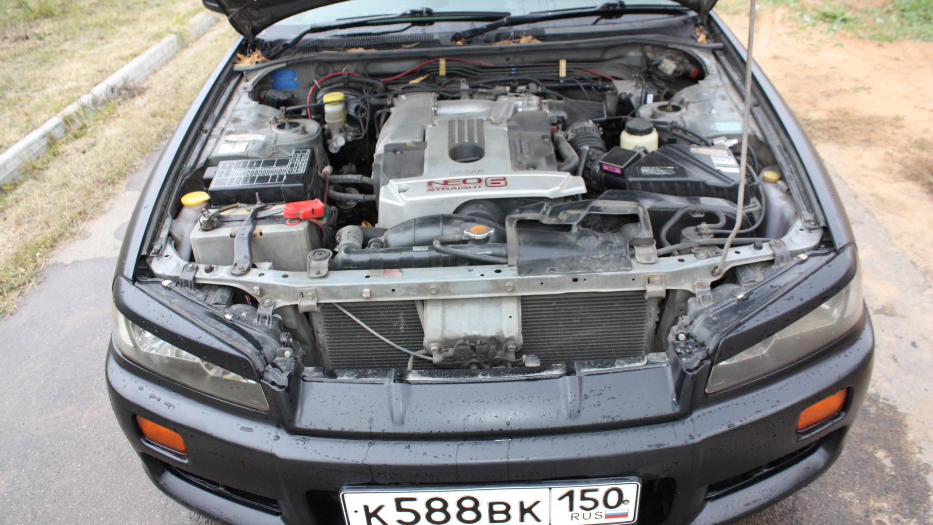 Nissan Skyline (R34) 2.0 бензиновый 1999 | RB20DE на DRIVE2