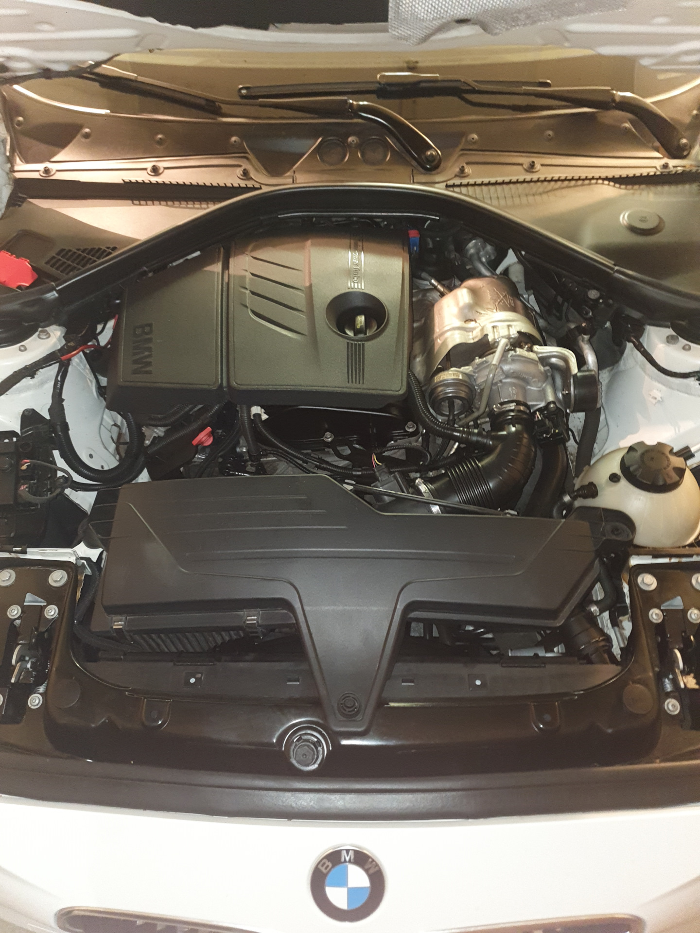 146 т.км. (замена цепи, сальника коленвала, клапанной крышки, лобового ...