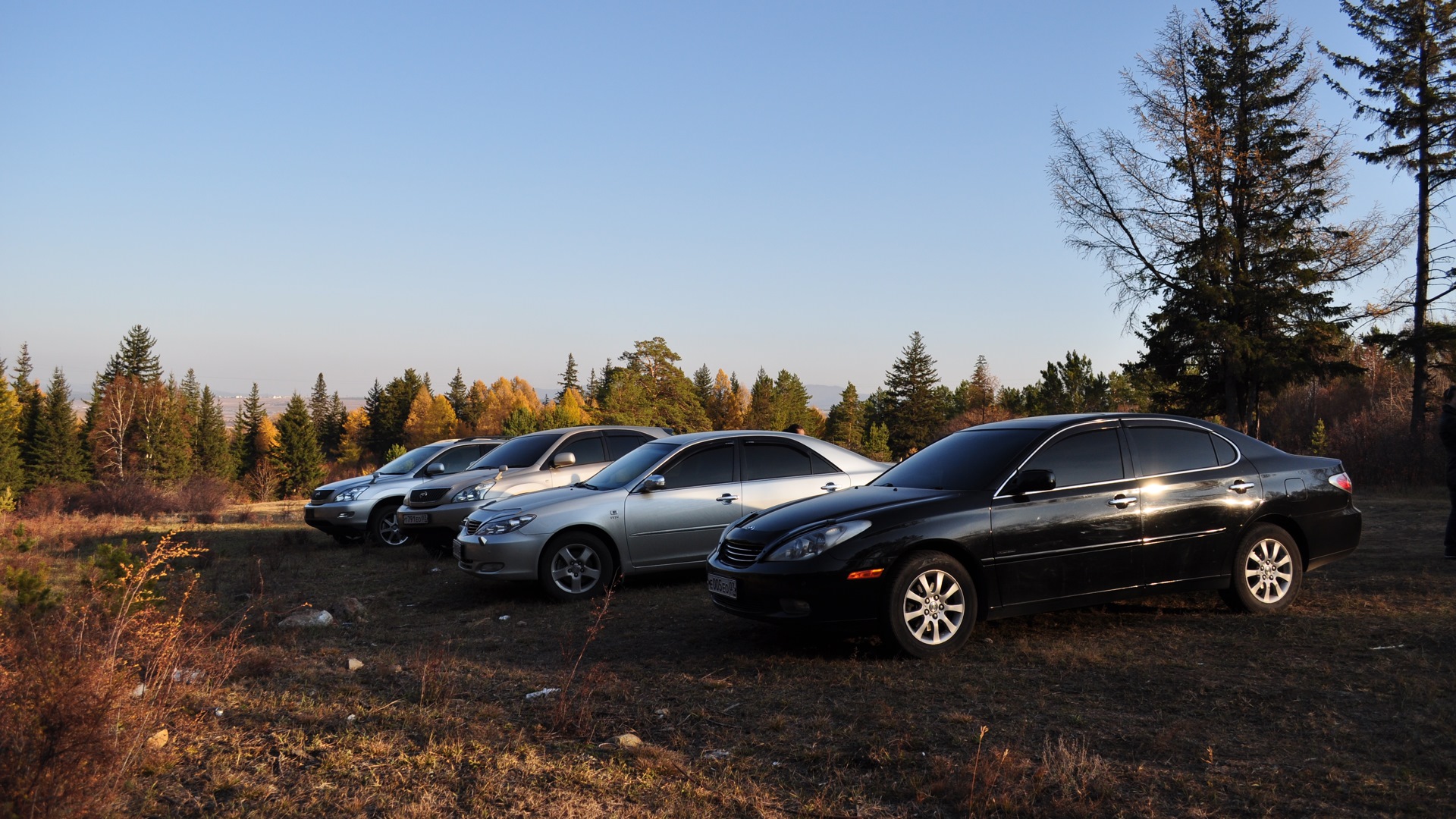 Toyota Windom (30) 3.0 бензиновый 2002 | на DRIVE2