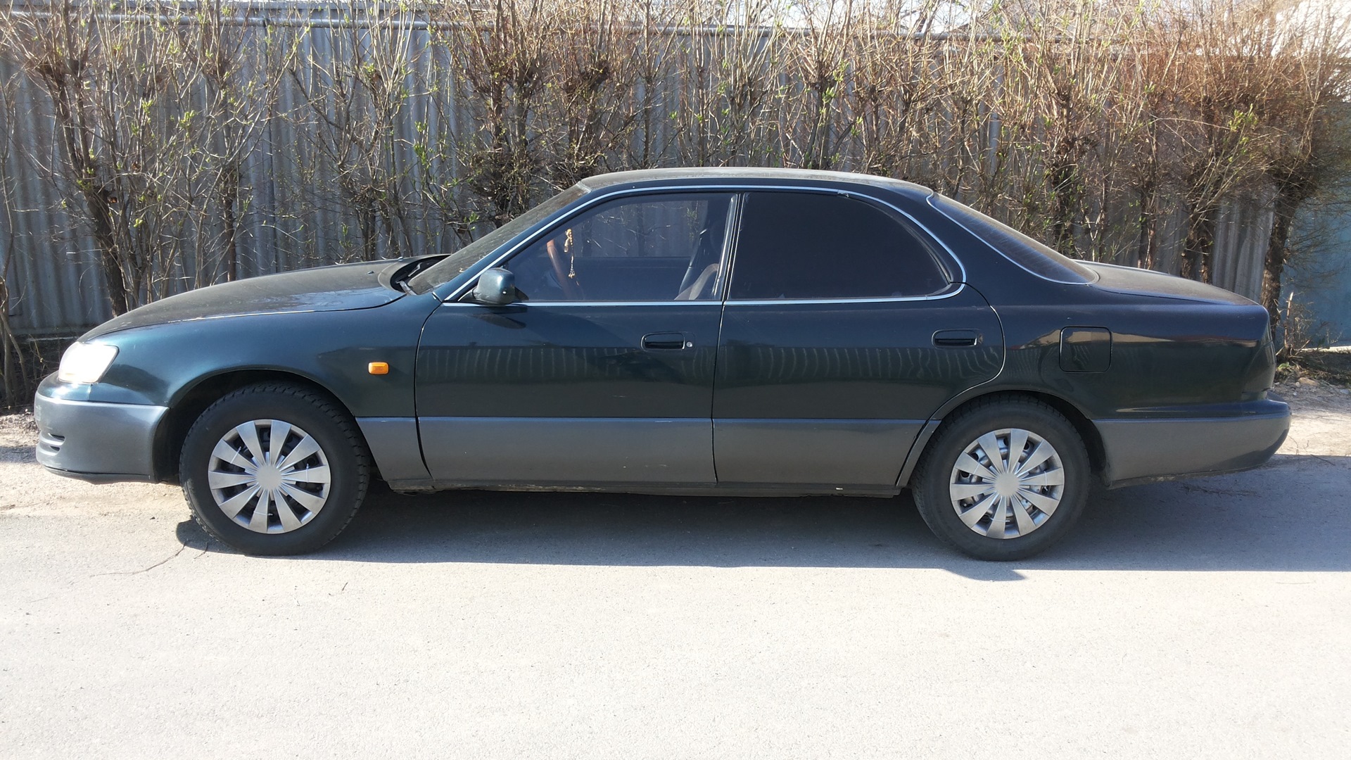 Toyota Windom (10) 2.5 бензиновый 1995 | на DRIVE2