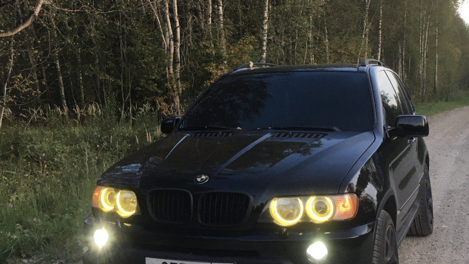 BMW X5 (E53) 4.4 бензиновый 2000 | E53 V8 на DRIVE2