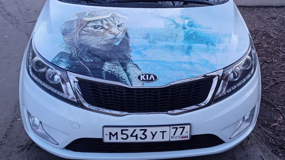 Подушка для поясницы Киа Рио — KIA Rio (3G), 1,6 л, 2013 года | тюнинг ...