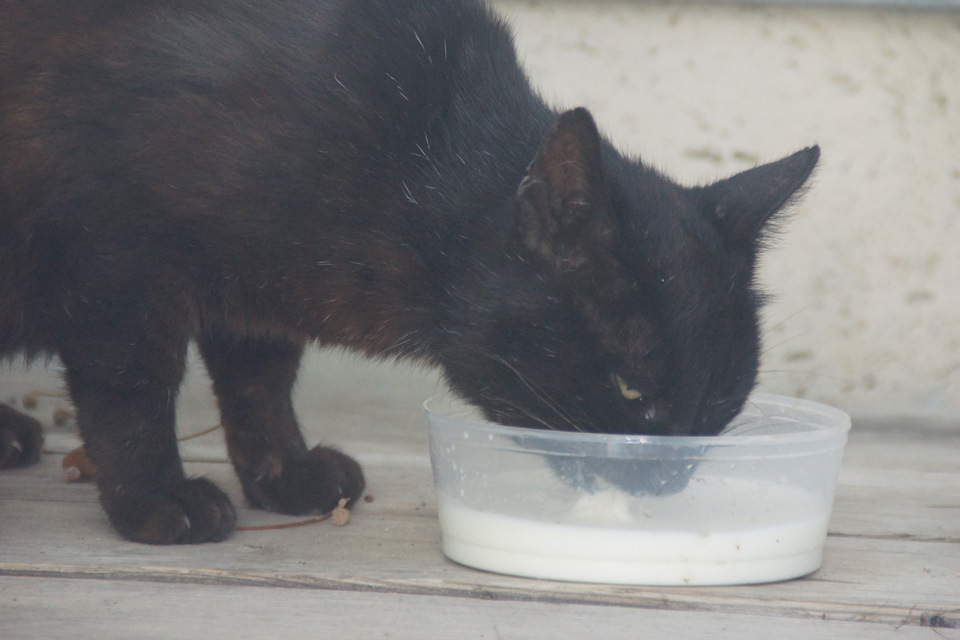 04.08.2018 г. — DRIVE2