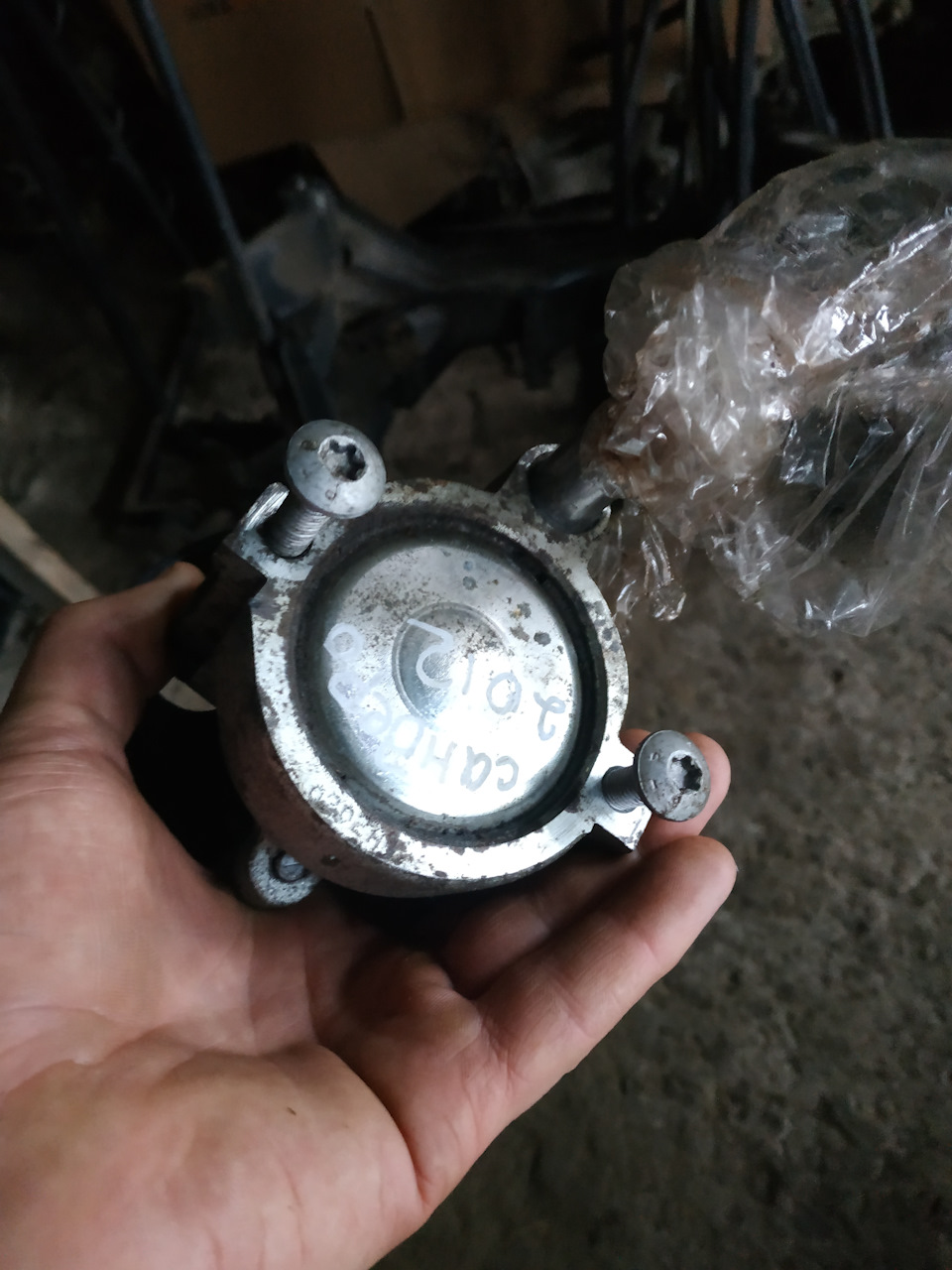 ДТП с дикой природой под Карлсруэ — Audi A4 Avant (B8), 2 л, 2014 года ...