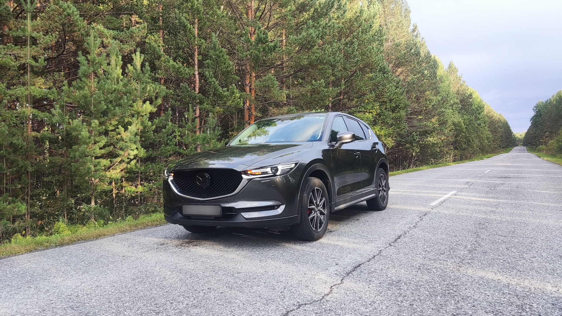 8. МОЙКА ДВИГАТЕЛЯ CX-5. — Mazda CX-5 (2G), 2,5 л, 2020 года | мойка | DRIVE2