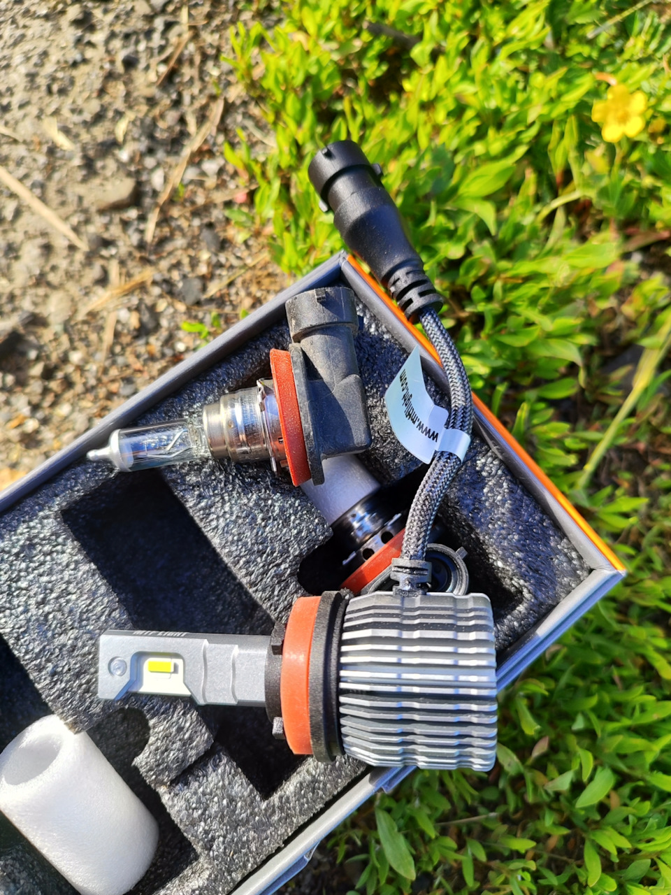 MTF LIGHT Activе Night в ПТФ Toyota — Toyota Corolla Fielder (E160), 1 ...