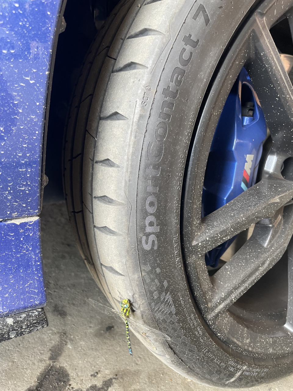 Новый комплект колёс BMW 792M + отзыв о MPSS — BMW 3 series (G20), 2 л ...