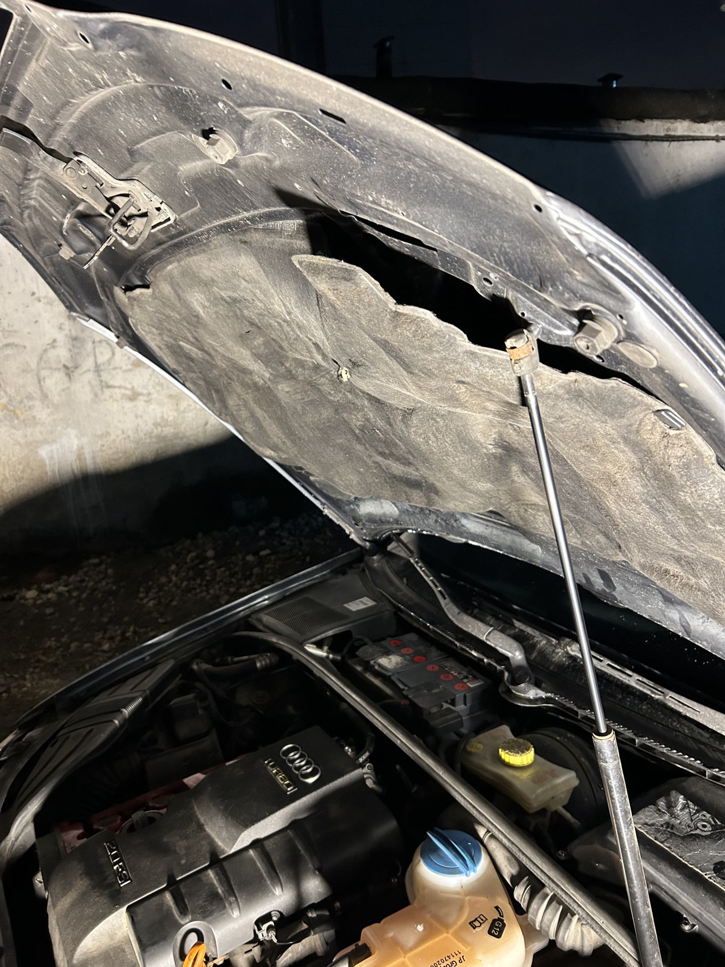 Защита и шумка капота — Audi A4 (B7), 2 л, 2007 года | визит на сервис ...
