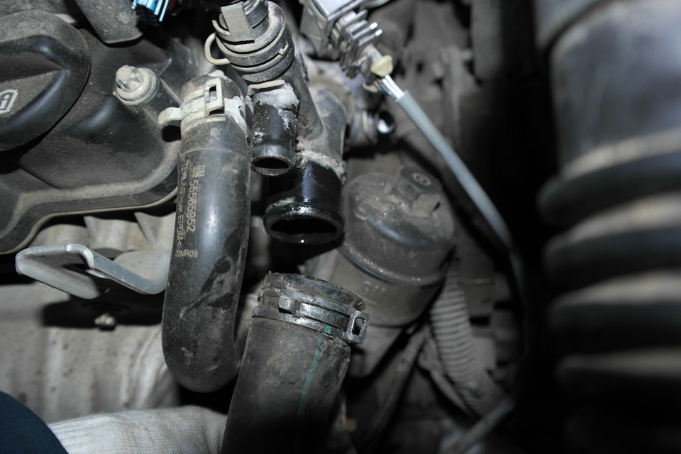 55565952 Шланг маслоохладителя GM | Запчасти на DRIVE2