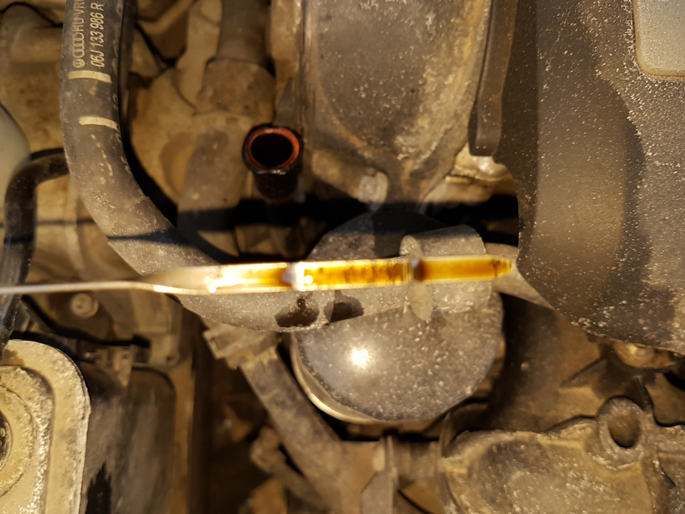 резко так начал расти уровень масла, на морозе… — Skoda Yeti, 1,8 л ...