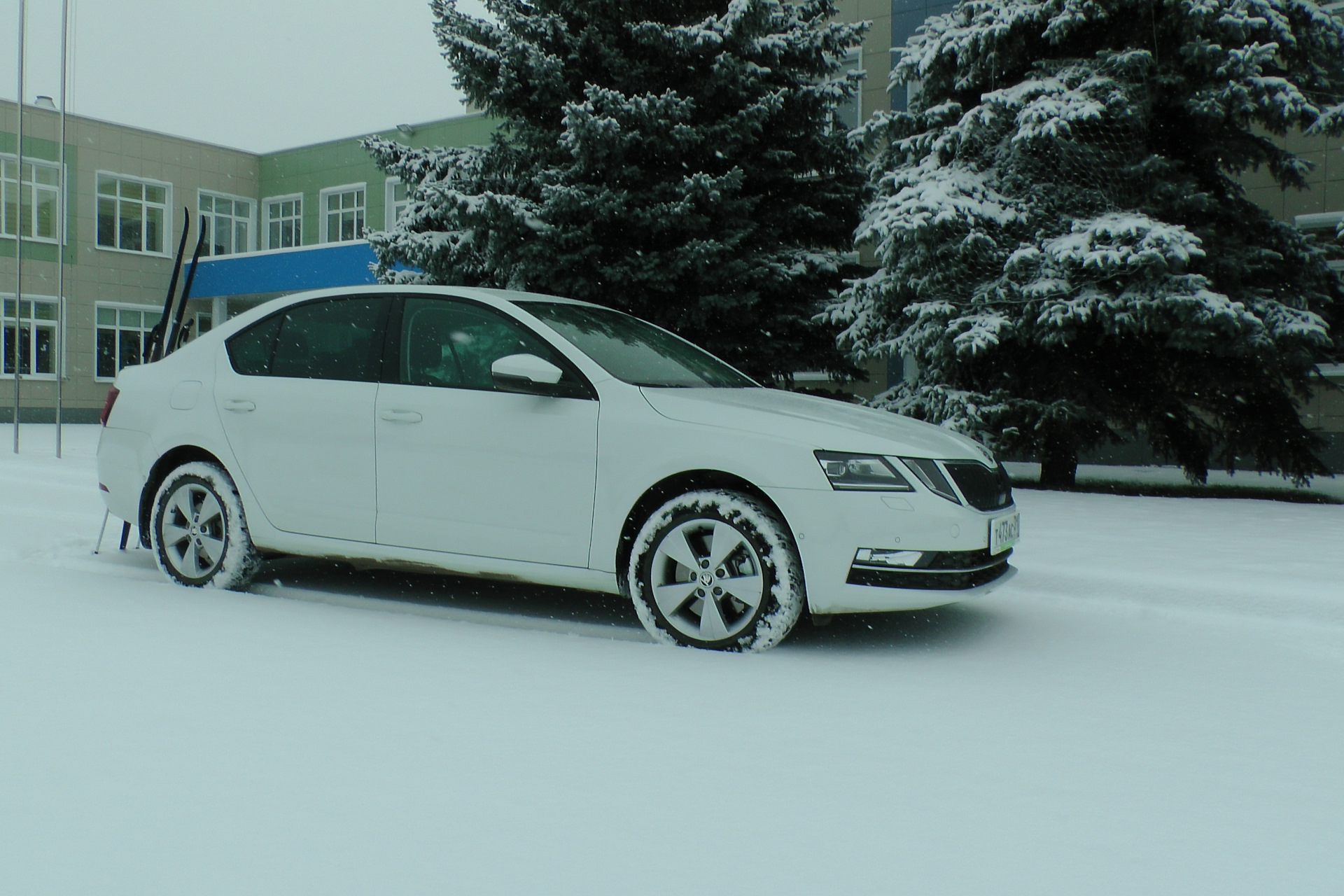 ,, Шкода Октавия"-осознанный выбор или компромисс ? — Skoda Octavia A7 Mk3, 1,8 л, 2019 года ...