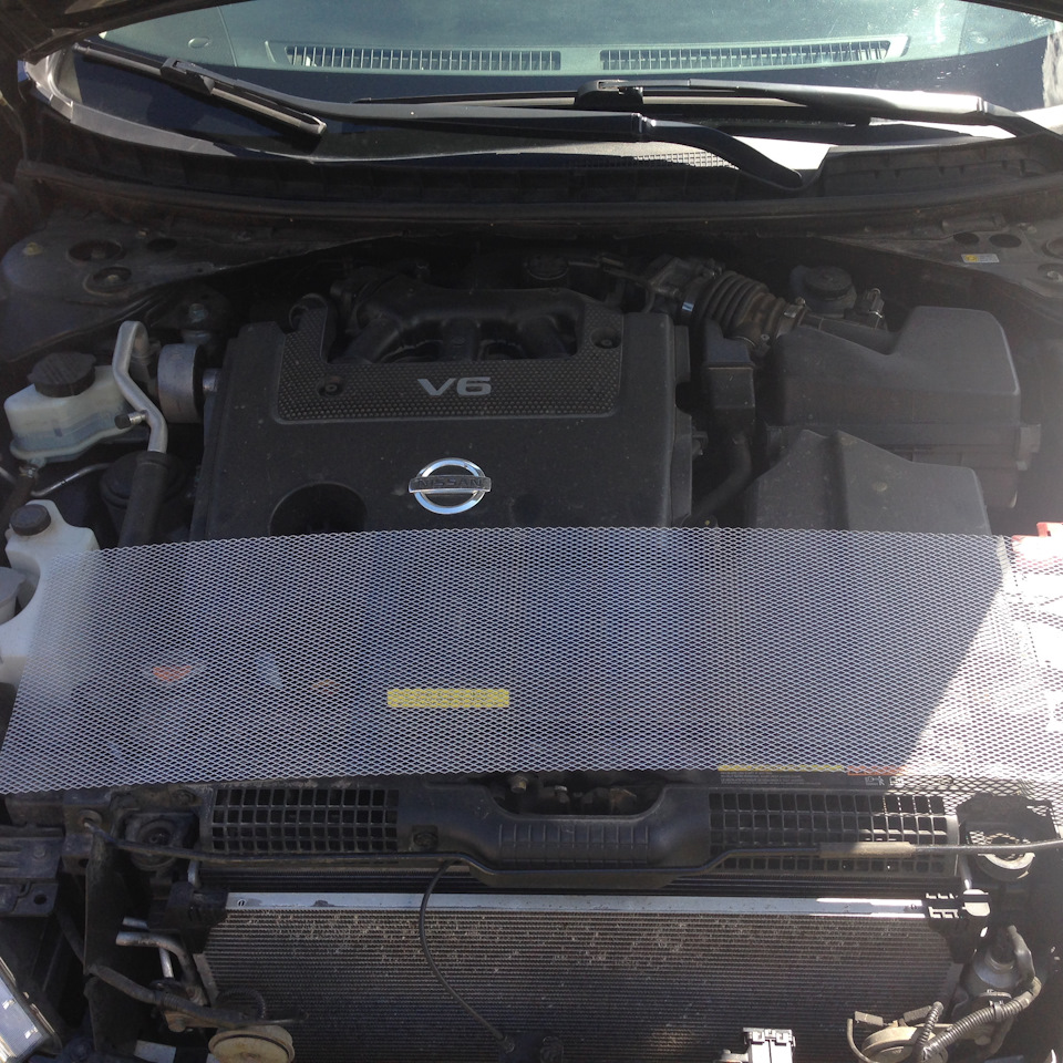 Установка сетки в решетку радиатора — Nissan Teana (J32), 2,5 л, 2010 ...