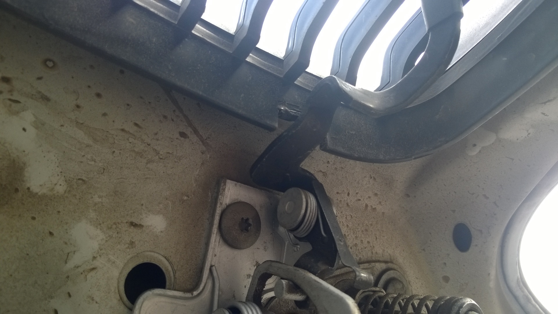 теперь и мы с черными ноздрями — BMW 3 series (E46), 2,2 л, 2001 года ...