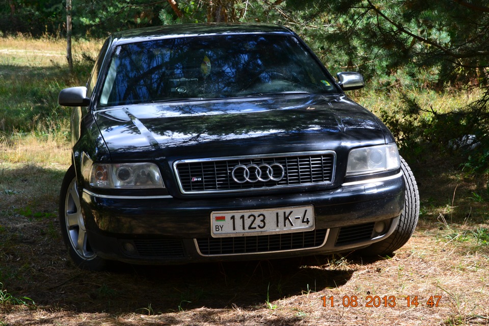 Получил номера, фото в лесу шашлыки — Audi S8 (D2), 4,2 л, 2000 года | путешествие | DRIVE2