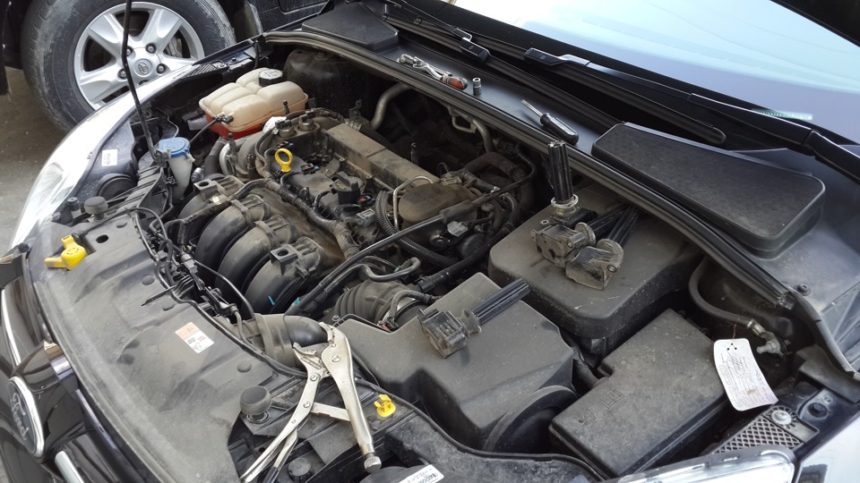 Замена свечей — Ford Focus Sedan III, 2 л, 2013 года | расходники | DRIVE2