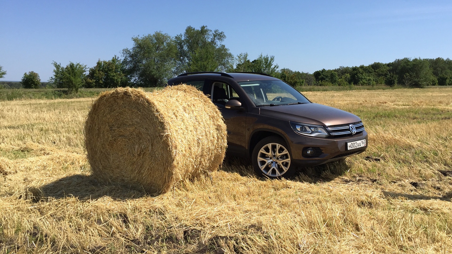 Volkswagen Tiguan (1G) 2.0 бензиновый 2014 | BOY на DRIVE2