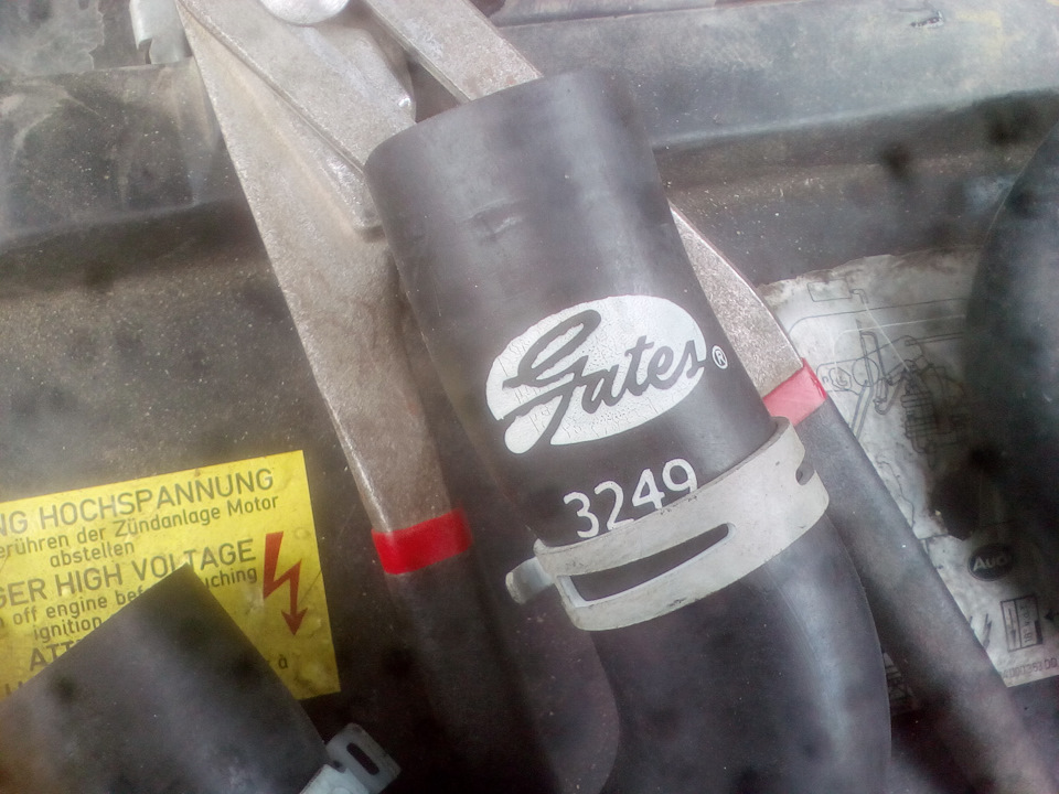 Давит антифриз, бурлит в расширительном бачке.4 — Audi 100 Avant (C3 ...