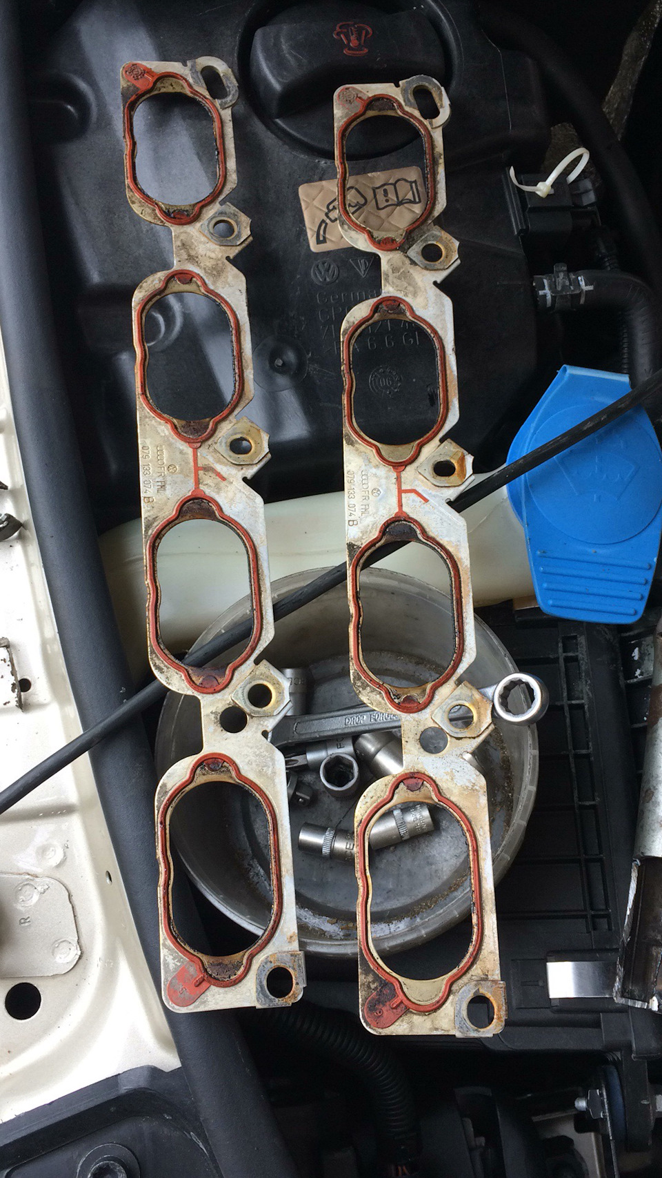 079133074B Прокладка VAG | Запчасти на DRIVE2